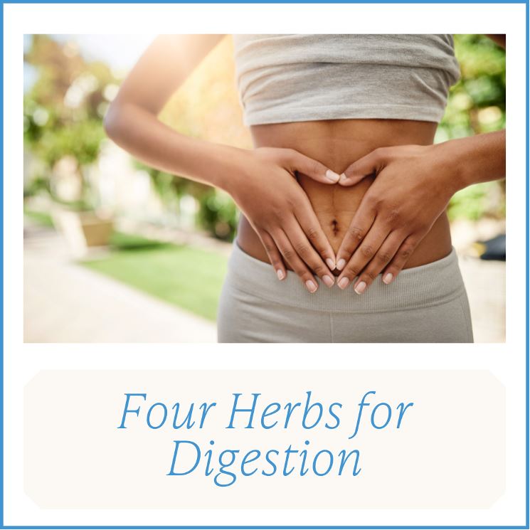 Four Herbs for Digestion – Tasha Rose